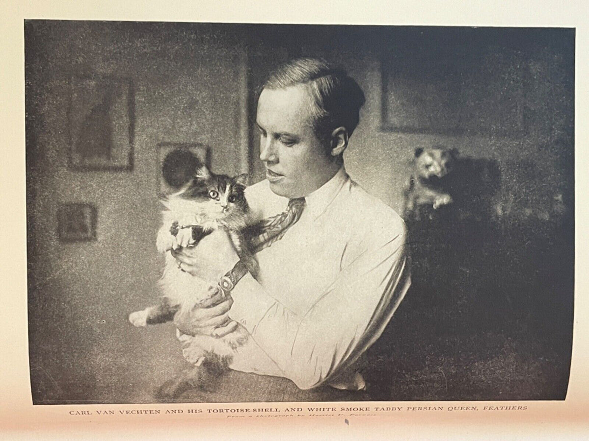 TIGER IN THE HOUSE - 1st, 1921 - CAT KITTY FELINE FOLKLORE, MYTHOLOGY ...