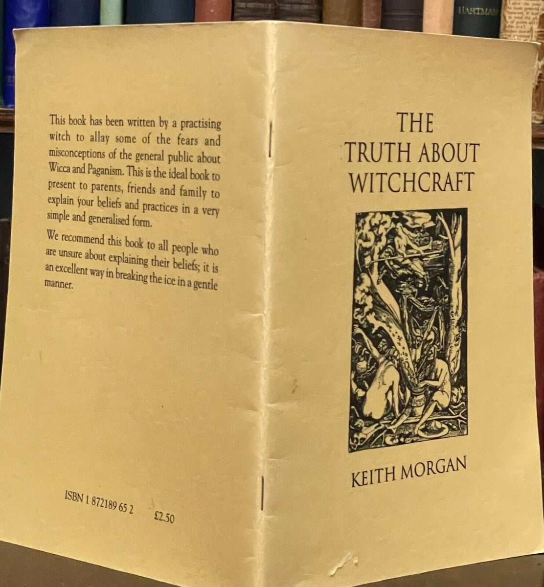 TRUTH ABOUT WITCHCRAFT - Morgan, 1995 - WITCHES WICCA PAGANISM RITUALS ...