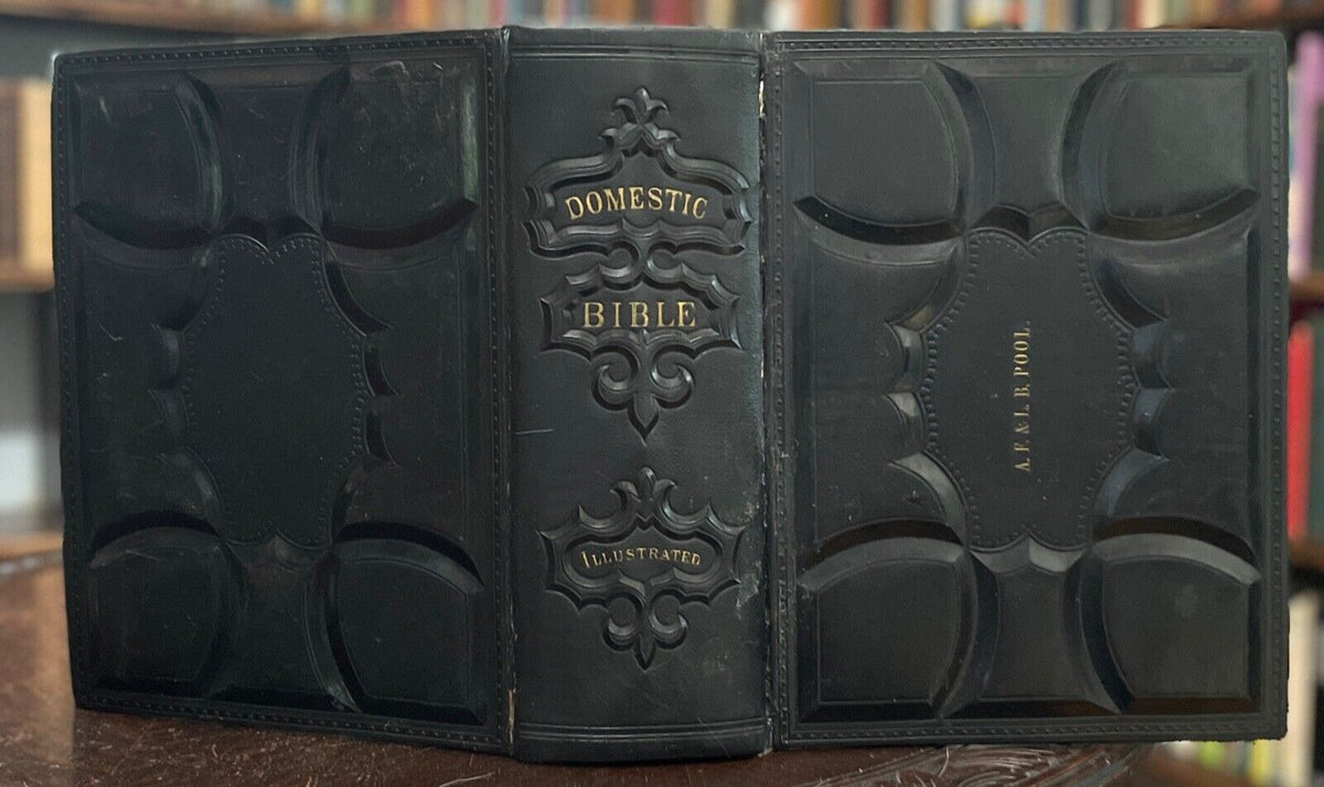 ILLUSTRATED DOMESTIC BIBLE - OLD and NEW TESTAMENTS - FINE LEATHER BIN ...
